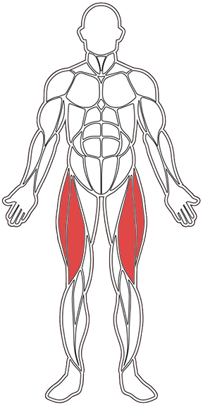 Framsida Lår – Övningar | Ourfitness